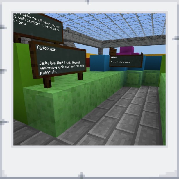 Animal and Plant Cell Tours in Minecraft Edu – The Learning Collaboratory