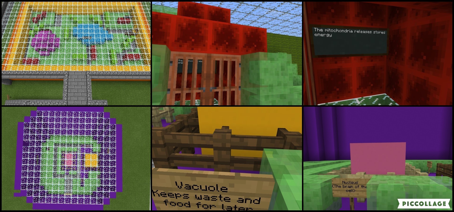 Animal and Plant Cell Tours in Minecraft Edu – The Learning Collaboratory